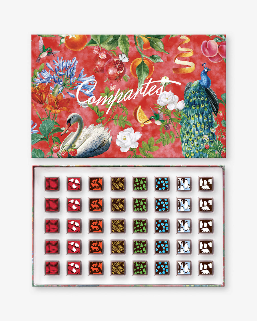 Holiday Chocolates Luxury Limited Edition Box | Compartes